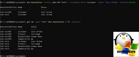 Использование Custom Attributes в Vcenter Настройка серверов Windows