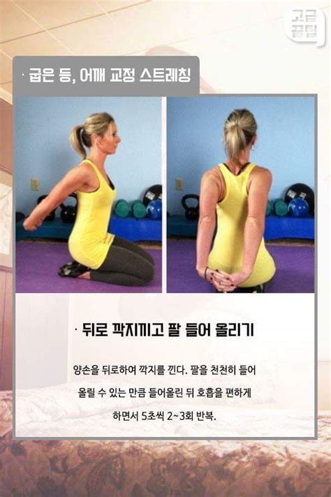 통증을 유발하는 구부정한 자세 굽은 등 어깨 교정하는 스트레칭 인스티즈 Instiz 이슈 카테고리