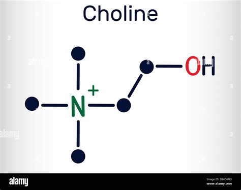 Lecithin And Choline At Timothy Mears Blog