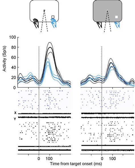 A Representative Fef Neuron Whose Visual Response Is Modulated In The