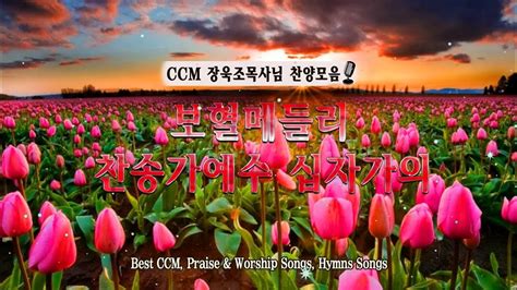 보혈찬송 보혈메들리 찬송가예수 십자가의 흘린 피로써 한국인이 제일 좋아하는 찬송가 Ccm 모음 Praise