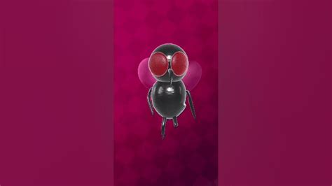 그럼 내가 지금 출발 합니다 선생님 안녕하세요 선생님 오늘 하루 종일 아침 일찍 자고 일찍 가서 다시 만나 참 잘 안 되 었 나 지금 집 Youtube