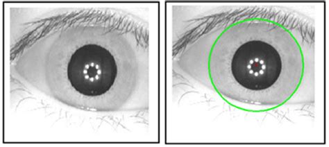 Iris Localization A Original Iris Image B Detected Iris Boundary Download Scientific Diagram