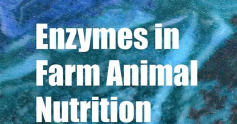 Enzymes In Farm Animal Nutrition 2nd Edition