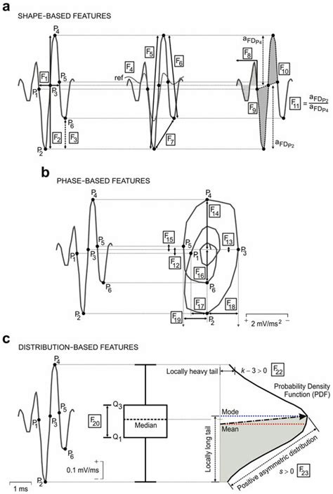 Schematic Representation Of The Extracted Features A Six Download Scientific Diagram