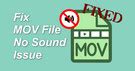 How To Fix TS File No Audio Problem