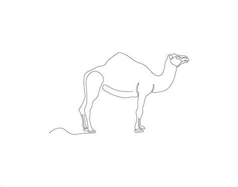 Premium Vector Continuous Line Drawing Of Camel One Line Of Arabian
