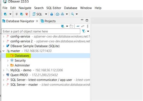 Databases Not Visible After Upgrade To 2205 · Issue 16657 · Dbeaver