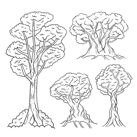 Tree Drawing Outline Images Free Download On Freepik
