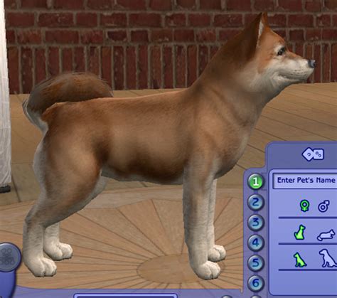 Mod The Sims Shiba Inu In 4 Breed Colors
