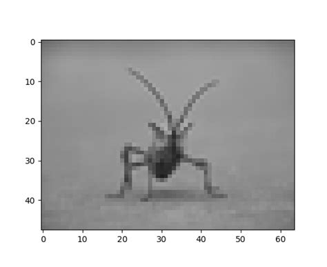 Image Tutorial Matplotlib Documentation