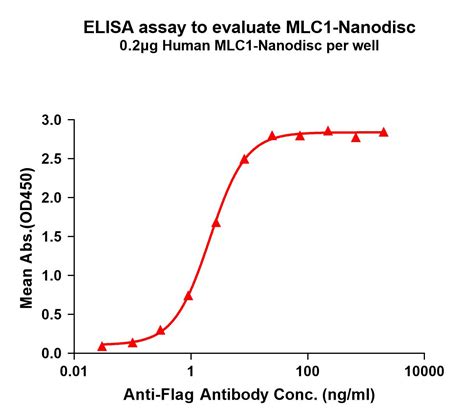 Human Mlc1 Full Length Protein Synthetic Nanodisc Dima Biotechnology