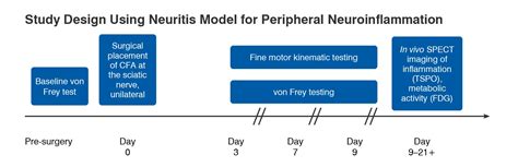 Peripheral Model Example