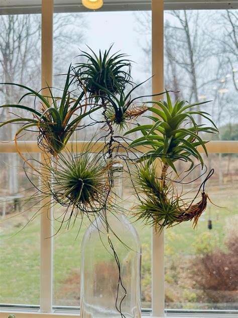 요즘 세상을 우울증의시대라고 하잖아 ‘나 우울해슬퍼 이게 우울증이 아니라 나름 차곡 차곡 쌓으며 살다 과부하가 걸려서 이래도 저래도 Solution 이