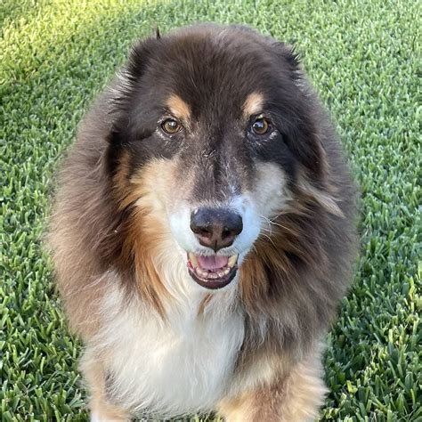 Ruby Mae Iaahpc