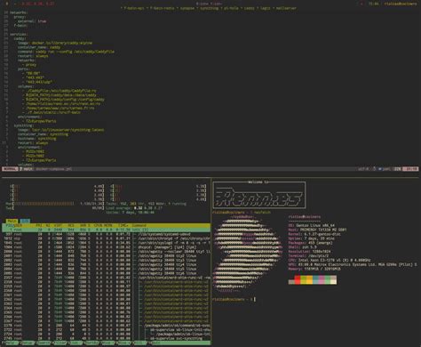 [tmux] gentoo server r unixporn