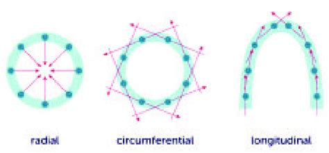 Different Types Of Left Ventricular Myocardial Strains 7 Download Scientific Diagram