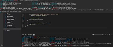 Bug Msg Duplicate When Consumer In Failover Mode · Issue 6535