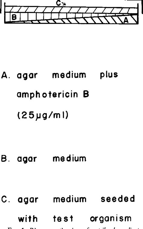 Figure 1 From Improved Agar Gradient Plate Technique Semantic Scholar