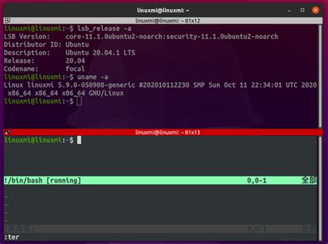 Ubuntu 20 04下如何更改默认终端为Terminator终端终结者 系统运维 亿速云