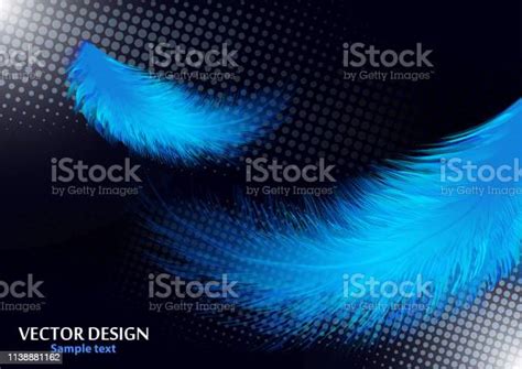 검은 배경 하프톤 효과에 고립 된 다채로운 현실적인 새 깃털 디자인에 대 한 벡터 일러스트 레이 션입니다 가축우리에 대한 스톡