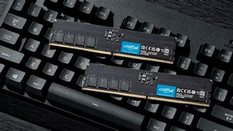 价格狂跌 美光发布ddr5 5600内存：单条高达48gb N软