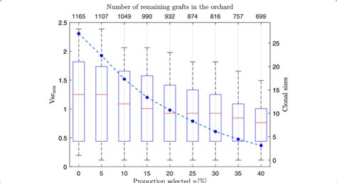 the var min criterion y axis of the seed orchard doubrava in the