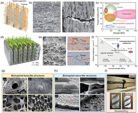 Bioinspired Designs At Nano‐ To Microlength Scales By Freeze Casting Download Scientific
