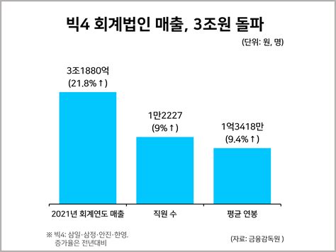 빅4 회계법인 매출 3조원 돌파 통계자료