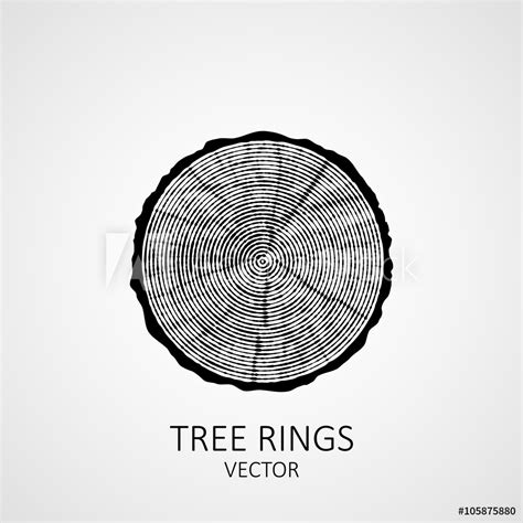 Tree Rings Vector At Vectorified Com Collection Of Tree Rings Vector Free For Personal Use