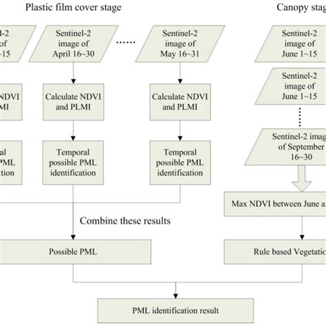 Flowchart Of Mtpml Of Pml Identification Download Scientific Diagram