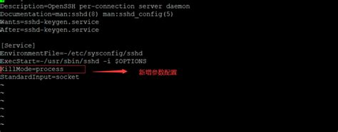 Linux上通过nohup启动程序之后终端关闭导致应用关闭的问题 Taobye