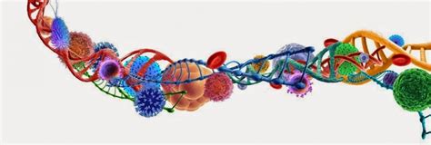 Personalised Nutrition And The Microbiome Futurist For Food