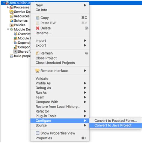Deploying And Developing Application With Tibco Cloud Messaging Tibco