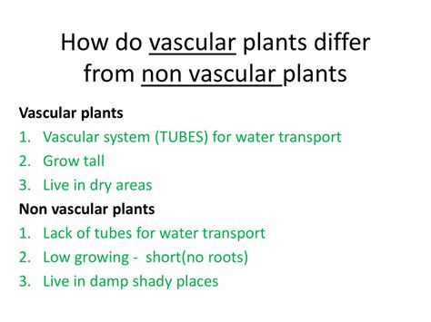 How Do Vascular Plants Differ From Non Vascular Plants