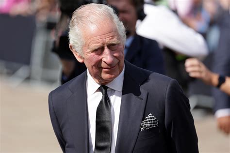 King Charles offers olive branch to Harry and Meghan as he expresses ...