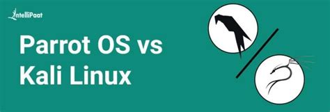 Parrot OS Vs Kali Linux Which One Is Better Updated