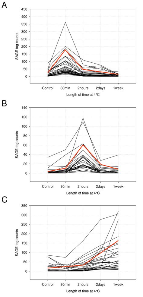 genes clustered according to expression profiles genes exhibiting a