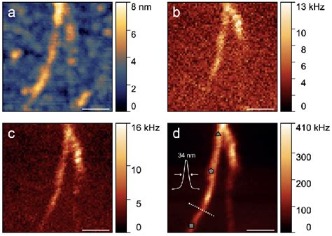 Ters Of Gnrp2 Swcnt Formed At 600 °c A Topographic Image Acquired