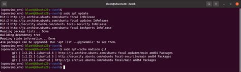 Ubuntu環境へのソフトウェアのインストール Partii Openvino編