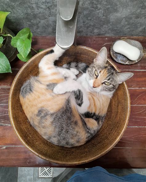 Tomás Torres Tomastomastomas • Instagram Photos And Videos