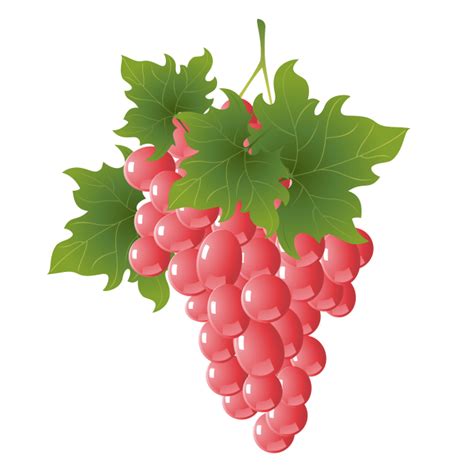 Chùm Nho Hồng Đẹp Free Png Khothietke Net