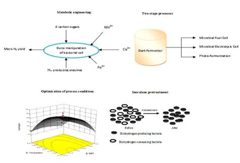 Optimization Strategies For Dark Fermentative Biohydrogen Production Download Scientific