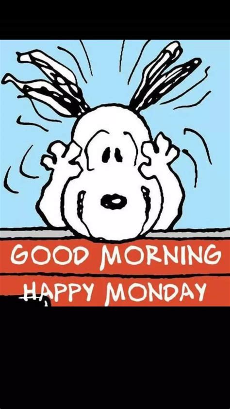 Funny Good Morning Monday