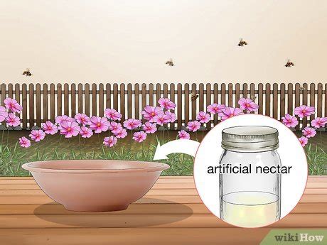 How To Follow Bees To Their Hive Steps With Pictures