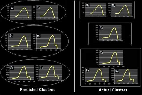 Examples Of Predicted And Actual Clusters Download Scientific Diagram