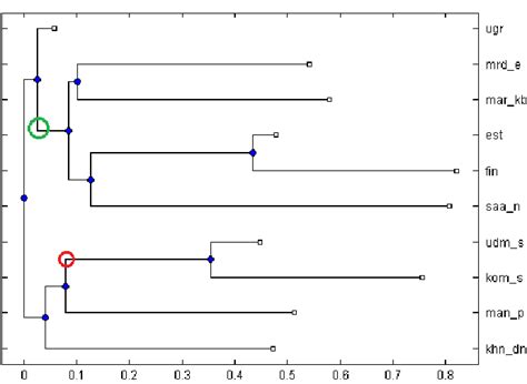 phylogenetic network computed by neighbornet using same datasets