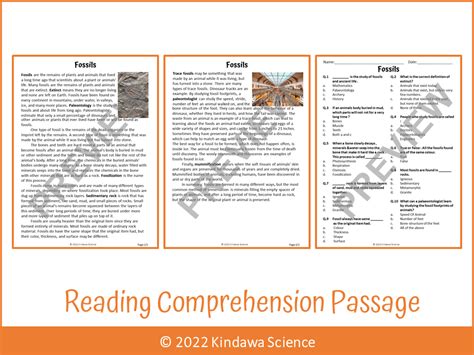 fossils reading comprehension passage and questions pdf teaching