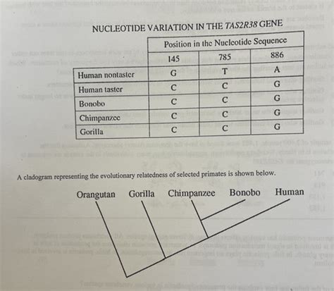 AP Bio Multiple Choice Practice Questions From Old Tests Flashcards Quizlet
