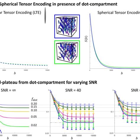Linear Tensor Encoding Lte And Spherical Tensor Encoding Ste Download Scientific Diagram
